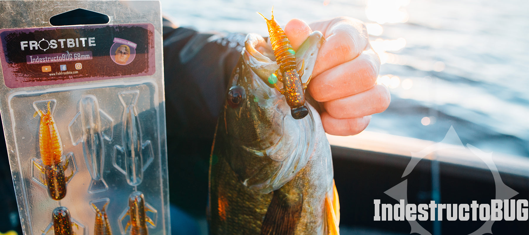 Fish Frostbite Canada – Frostbite Canada